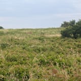 Sachuest Point National Wildlife Refuge Trail, Rhode Island - 2,054 ...