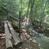 Beaver Brook Trail to Mount Moosilauke, New Hampshire - 1,382 Reviews ...