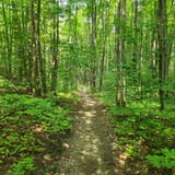 Jordan Valley Pathway, Michigan - 795 Reviews, Map | AllTrails