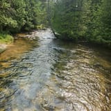 Jordan Valley Pathway, Michigan - 795 Reviews, Map | AllTrails