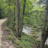 Jordan Valley Pathway, Michigan - 795 Reviews, Map | AllTrails