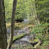 Jordan Valley Pathway, Michigan - 795 Reviews, Map | AllTrails