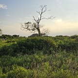 Sachuest Point National Wildlife Refuge Trail, Rhode Island - 2,054 ...