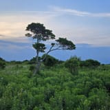 Sachuest Point National Wildlife Refuge Trail, Rhode Island - 2,054 ...