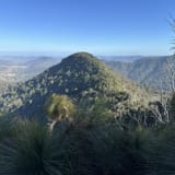 Mount Mitchell Trail, Queensland, Australia - 952 Reviews, Map | AllTrails