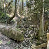 Cave Hole, Coal Creek Falls, Quarry, and Fred's Railroad Loop ...