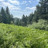 Shanahan Ridge Trail, Colorado - 3,282 Reviews, Map | AllTrails