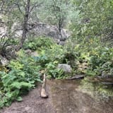 Shanahan Ridge Trail, Colorado - 3,282 Reviews, Map | AllTrails