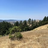 Bill's Trail to Mount Barnabe Peak Loop, California - 595 Reviews, Map ...