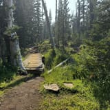 Duffy Lake Trail, Oregon - 465 Reviews, Map | AllTrails