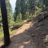 Tahoe Rim Trail to Picnic Rock Viewpoint, California - 3,600 Reviews, Map | AllTrails