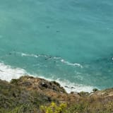 Timber Top and Boronda Trail, California - 727 Reviews, Map | AllTrails