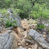 Reeves Brook Loop Trail, New York - 4,852 Reviews, Map | AllTrails