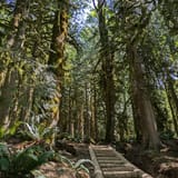 Heybrook Lookout Trail, Washington - 5,261 Reviews, Map | AllTrails