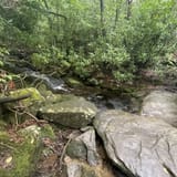 Boone Fork Trail, North Carolina - 3,601 Reviews, Map | AllTrails