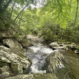 Boone Fork Trail, North Carolina - 3,601 Reviews, Map | AllTrails