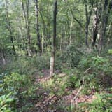 STS (Susquehannock Trail System) Backpacking Loop, Pennsylvania - 59 ...