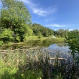 Heber Down Conservation Area Trail, Ontario, Canada - 633 Reviews, Map ...