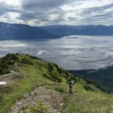 Bird Ridge Trail, Alaska - 1,149 Reviews, Map | AllTrails