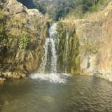 Cold Springs East Fork Trail, California - 345 Reviews, Map | AllTrails