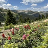 Mount Flora Trail, Colorado - 4,335 Reviews, Map | AllTrails