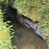 Dames Cave, Florida - 626 Reviews, Map | AllTrails