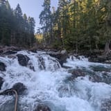 Silver Falls Loop, Washington - 3,513 Reviews, Map | AllTrails
