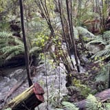 Masons Falls and Mount Sugarloaf Circuit, Victoria, Australia - 960 ...