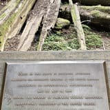 Bootjack Loop, California - 2,014 Reviews, Map | AllTrails