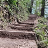 Bootjack Loop, California - 2,014 Reviews, Map | AllTrails