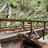 Bootjack Loop, California - 2,014 Reviews, Map | AllTrails