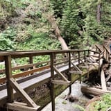 Bootjack Loop, California - 2,014 Reviews, Map | AllTrails