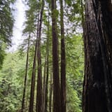 Bootjack Loop, California - 2,014 Reviews, Map | AllTrails