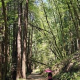 Bootjack Loop, California - 2,014 Reviews, Map | AllTrails