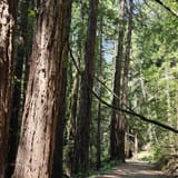 Bootjack Loop, California - 2,014 Reviews, Map | AllTrails