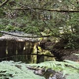 Bootjack Loop, California - 2,014 Reviews, Map | AllTrails