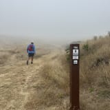 Point Sal Overlook, California - 655 Reviews, Map | AllTrails