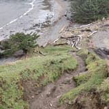 Sand Point Trail, Washington - 320 Reviews, Map | AllTrails