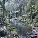 Conondale Range Great Walk, Queensland, Australia - 55 Reviews, Map ...