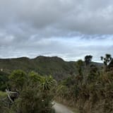 Mercer Bay Loop Track, Auckland, New Zealand - 746 Reviews, Map | AllTrails
