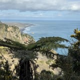 Mercer Bay Loop Track, Auckland, New Zealand - 746 Reviews, Map | AllTrails