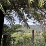 Mercer Bay Loop Track, Auckland, New Zealand - 746 Reviews, Map | AllTrails