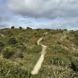 Mercer Bay Loop Track, Auckland, New Zealand - 746 Reviews, Map | AllTrails