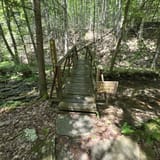 Gerard Hiking Trail, Pennsylvania - 300 Reviews, Map | AllTrails