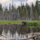 Upper Two Medicine Lake via Two Medicine South Shore Trail, Montana ...