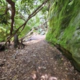 Rock Maze Trail, Maryland - 769 Reviews, Map | AllTrails