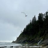 Short Sand Beach Trail, Oregon - 757 Reviews, Map | AllTrails