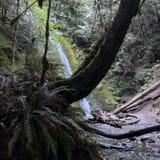 Madison Falls Trail, Washington - 1,914 Reviews, Map | AllTrails