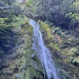 Madison Falls Trail, Washington - 1,930 Reviews, Map | AllTrails
