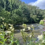 Chee Dale Gorge Circular, Derbyshire, England - 1,856 Reviews, Map ...